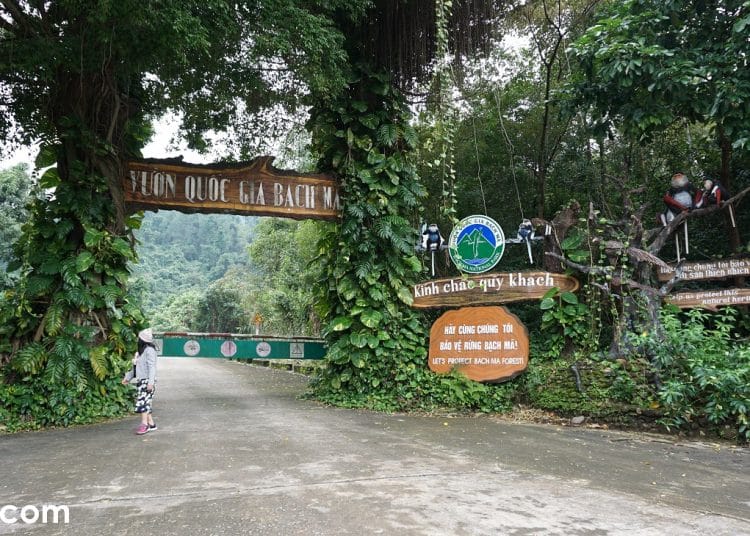 Bach Ma National Park Photos – A Top Natural Attraction